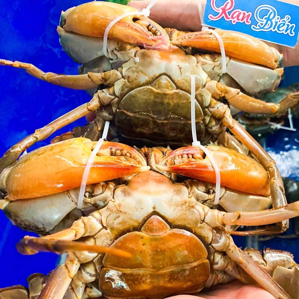 Cua gạch lớn (kg)